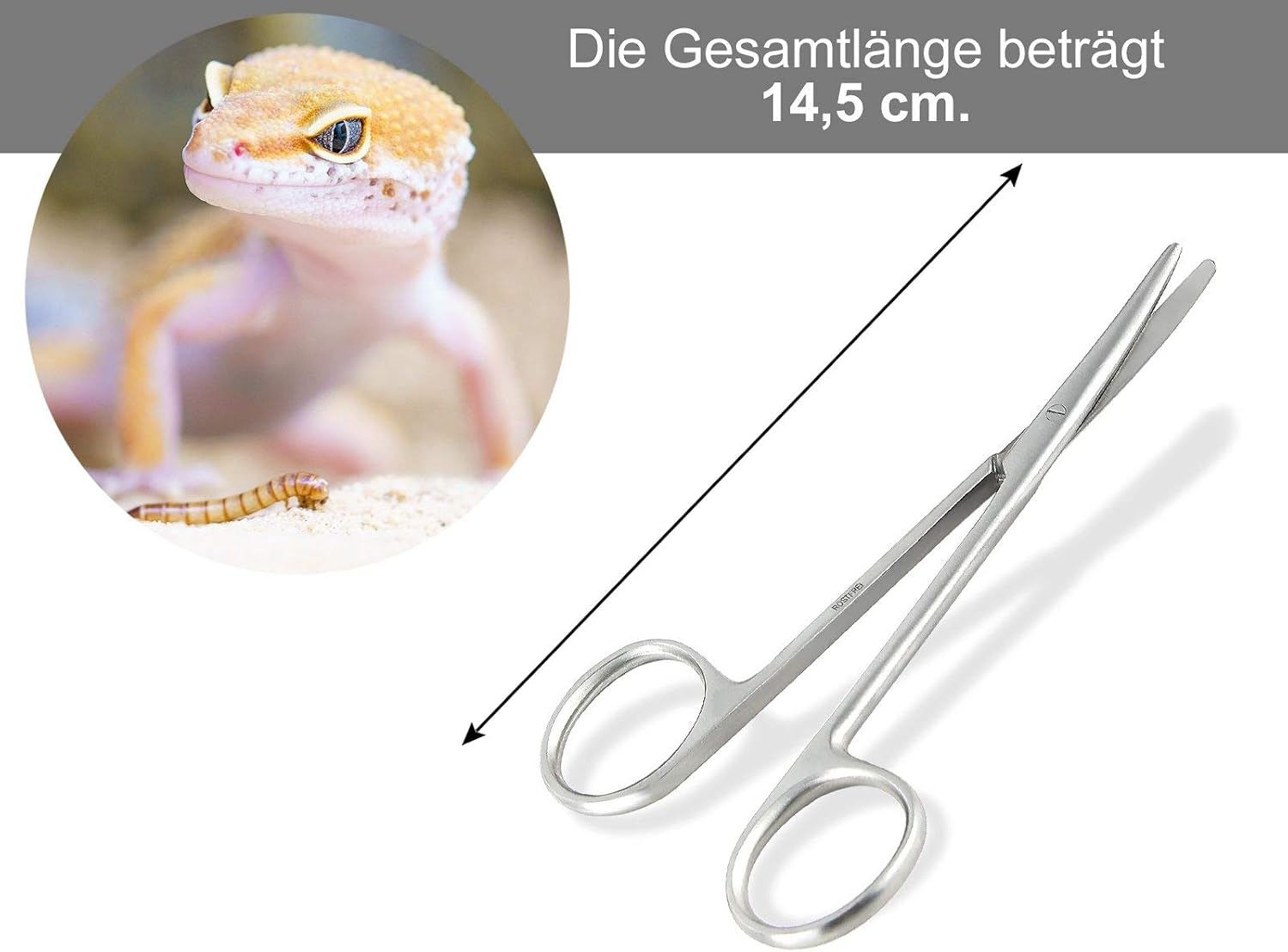 Aquarium Plants Scissors 11.5 cm to 30 cm Stainless Steel – BigaMart