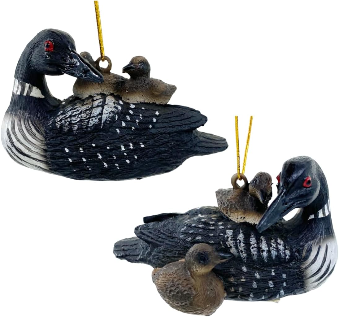 Amazon.com: Loon Ornaments - Aquatic Bird Duck Christmas Tree ...
