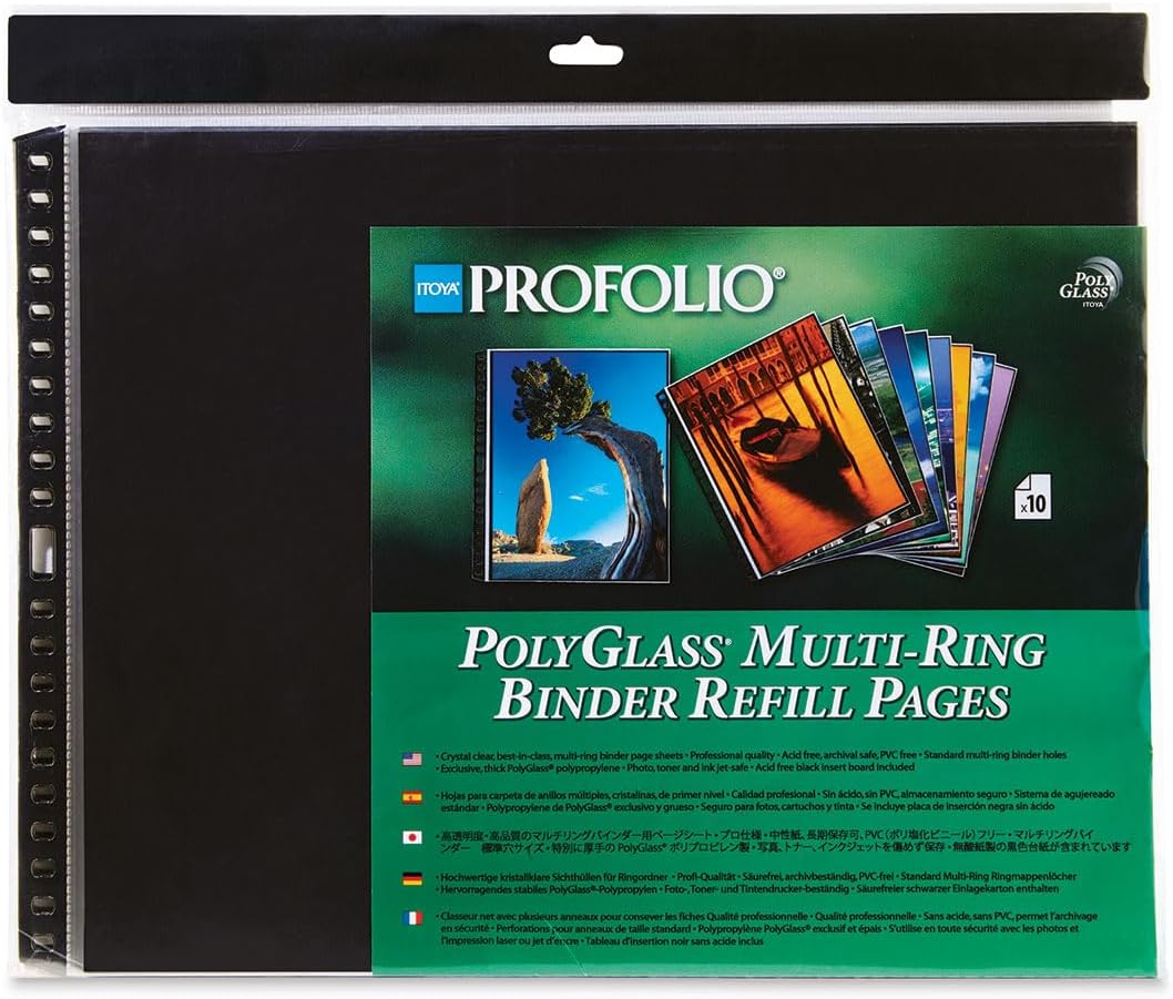 Amazon.com: ProFolio by Itoya, Art ProFolio PolyGlass, 10-Pack Multi ...