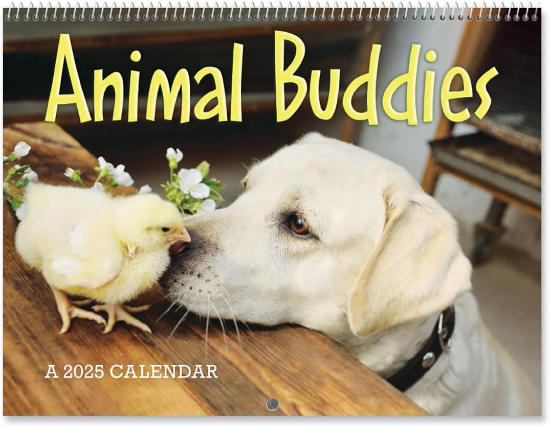 Amazon.com: 2025 Animal Buddies Wall Calendar, 12-Inch x 9-Inch Size ...