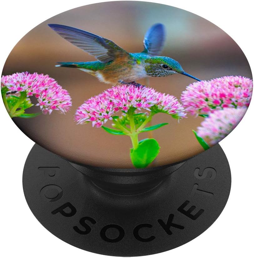 Amazon.com: Hummingbird Gift Bird Flower Colorful Wildlife Nature ...