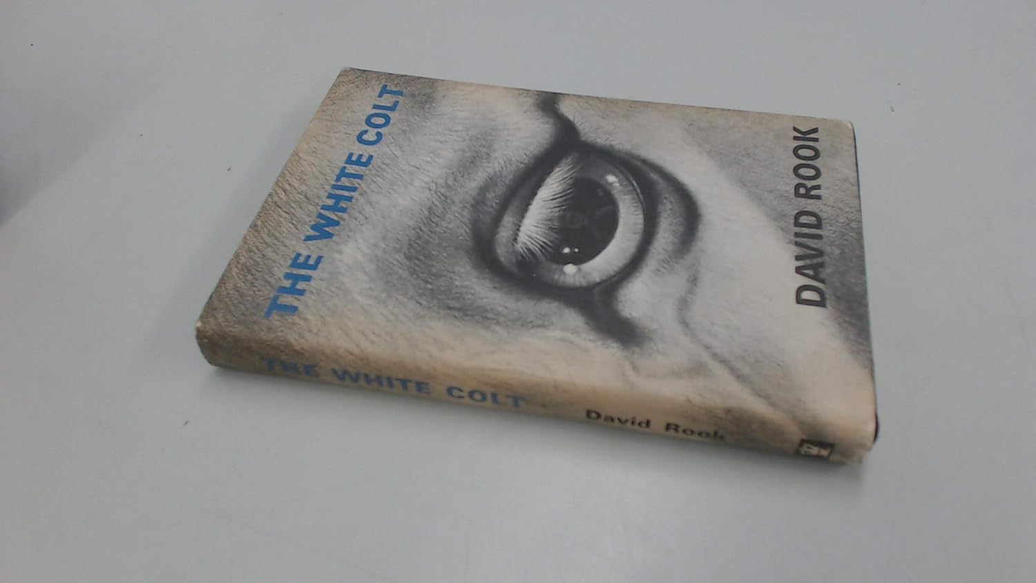 White Colt: Amazon.co.uk: Rook, David: 9780340026687: Books