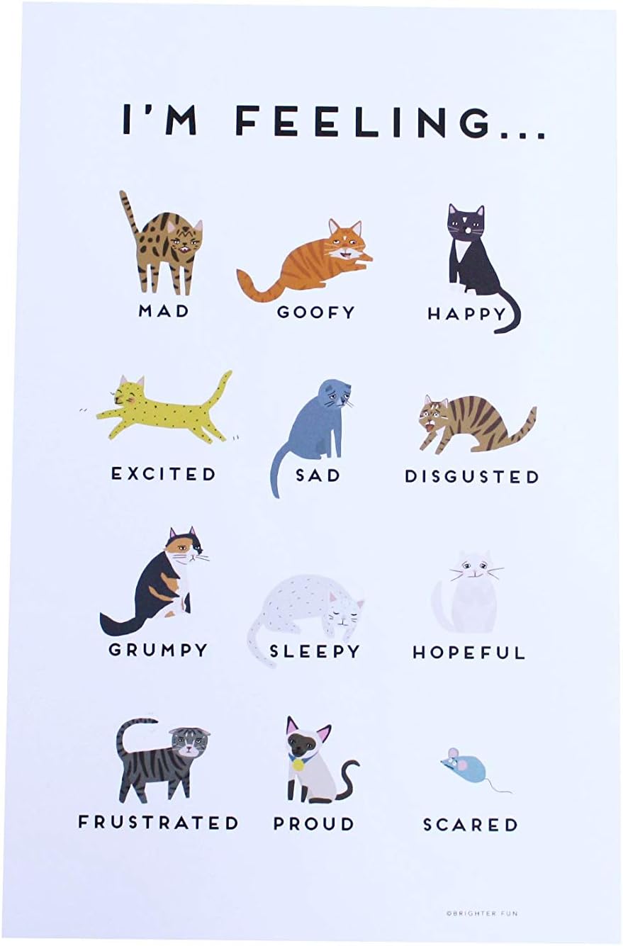 Amazon.com: Brighter Fun Feelings Chart: Cats Children's Classroom ...