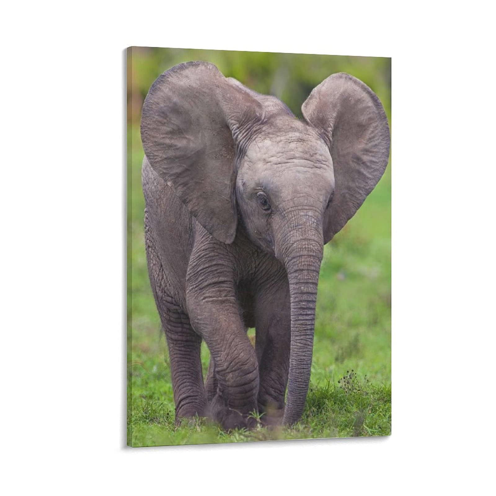 Baby Elephant Side View
