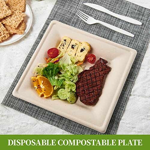 Snapklik.com : 125 Pack Compostable Square Plates, 6 Inch Disposable ...