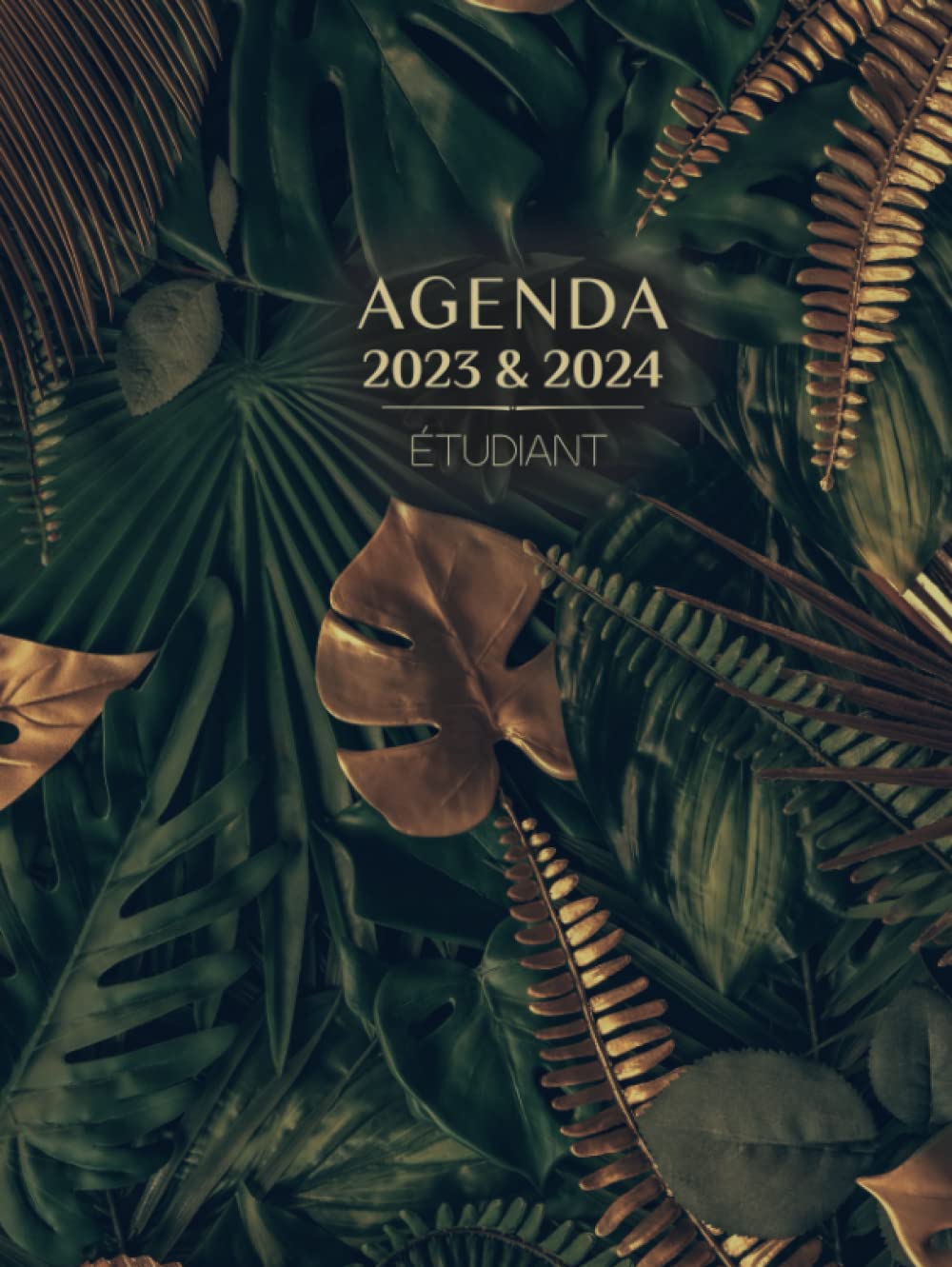 Buy Agenda étudiant 2023 & 2024: Planificateur scolaire, journalier | 1 ...