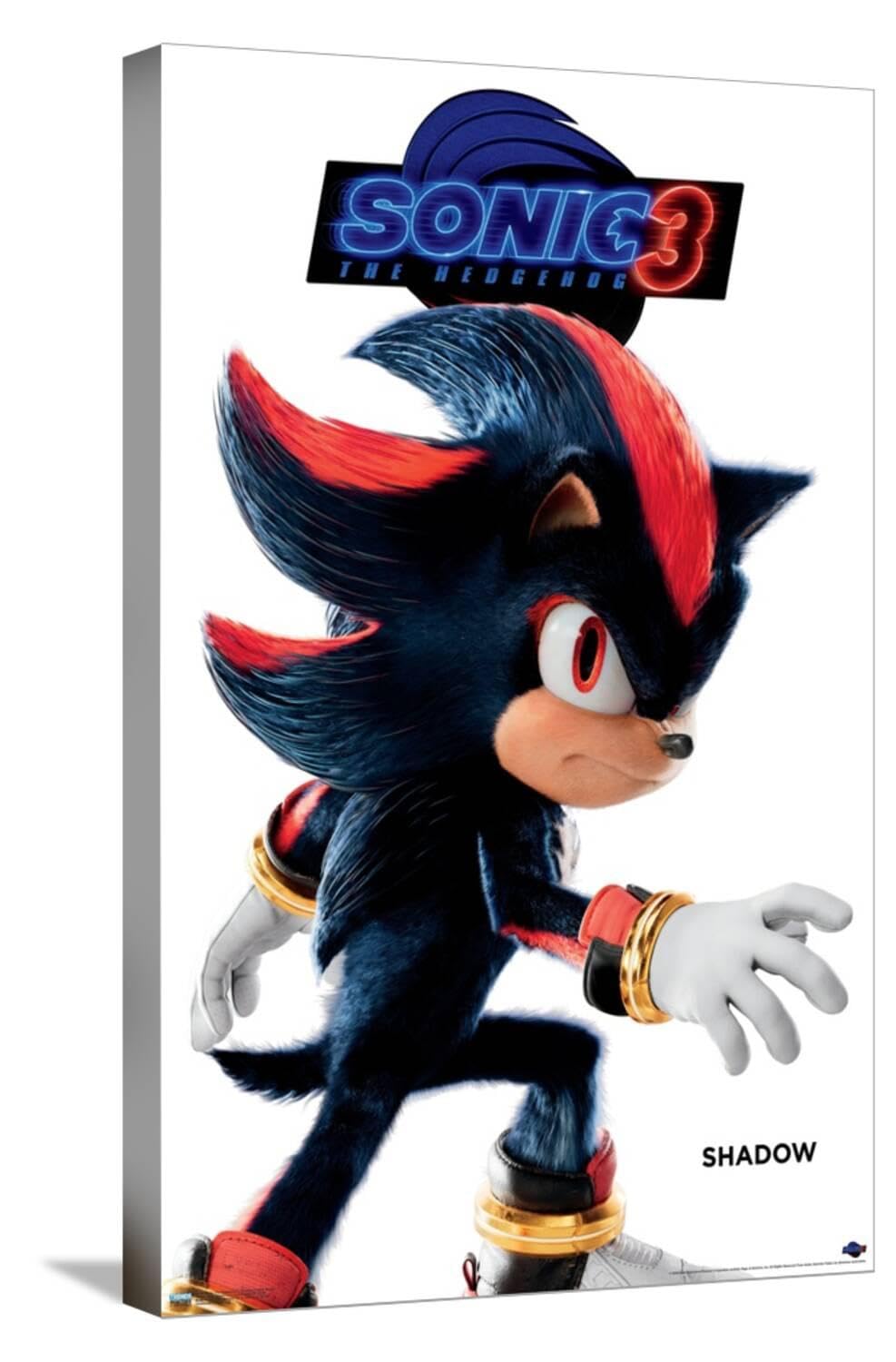 Amazon.com: Trends International Sonic The Hedgehog 3 - Shadow Feature ...