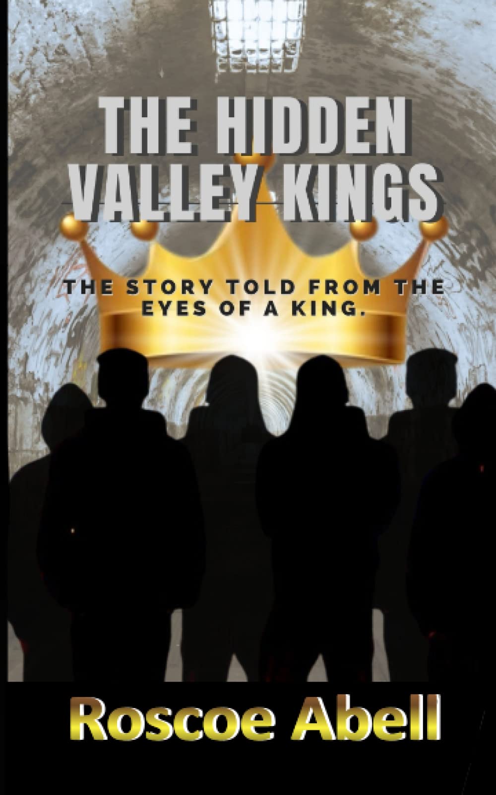 Amazon.com: The Hidden Valley Kings (Series 1): 9781956924053: Abell ...