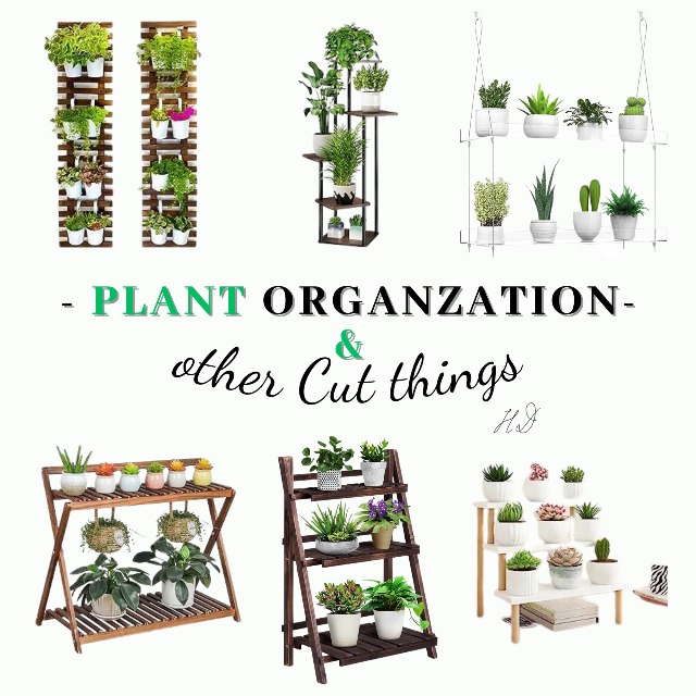 Watch Plant Organization for plants lovers on Amazon Live