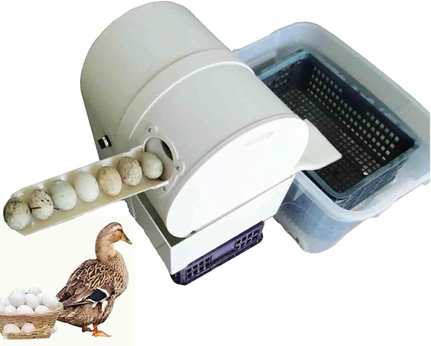 Amazon.com: 120W Egg Washer Machine Automatic Egg Cleaning Machine ...