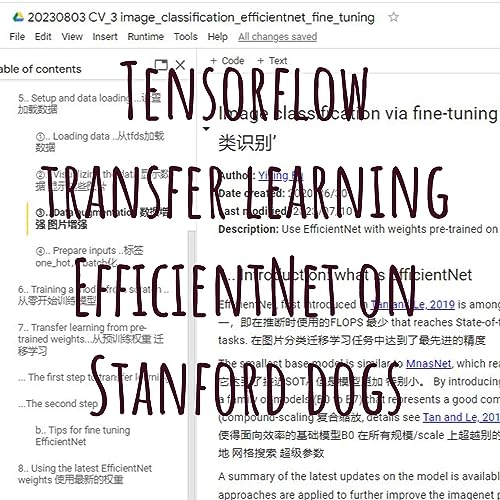 Tensorflow transfer learning EfficientNet on Stanford dogs : tensorflow: Amazon.in: Books