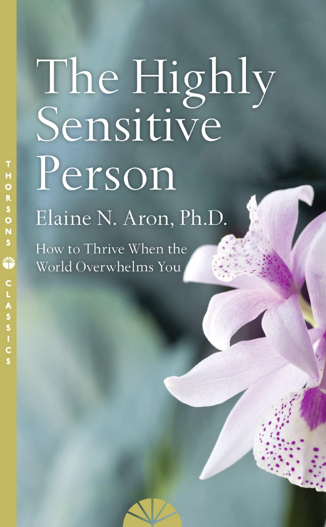 The Highly Sensitive Person: How to Surivive and Thrive When the World ...