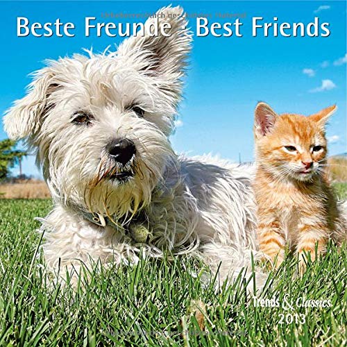 Beste Freunde - T & C-Kalender 2013 : Amazon.de: Bücher