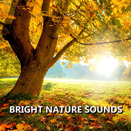 Amazon.com: Bright Nature Sounds : Nature Sounds: Digital Music