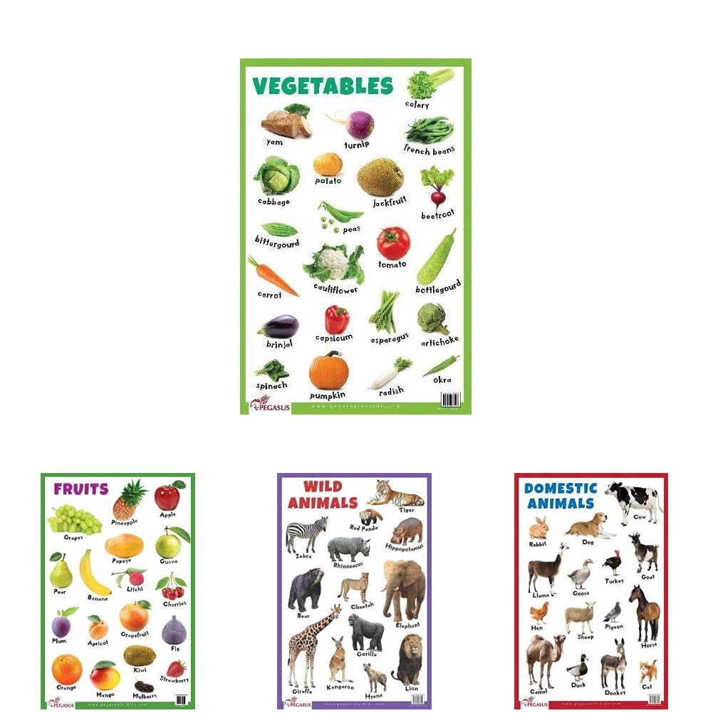 Buy Vegetables - Thick Laminated Primary Chart+Fruits - Thick Laminated ...