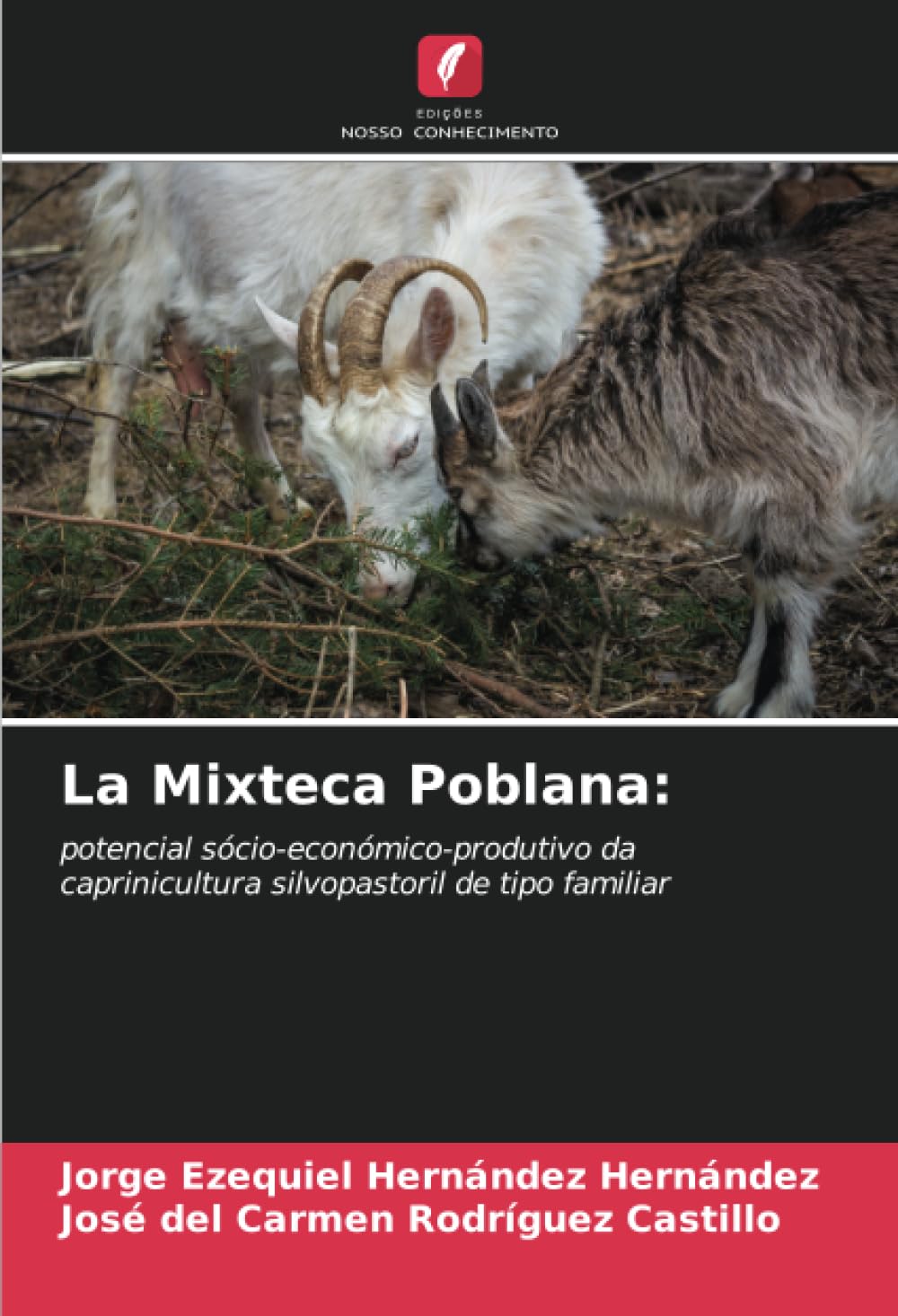 Buy La Mixteca Poblana Book Online at Low Prices in India | La Mixteca ...