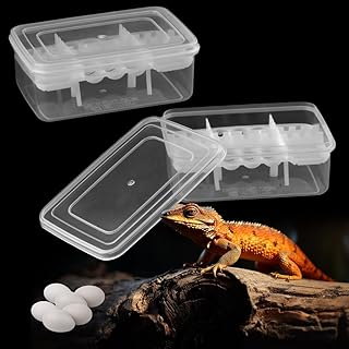 Speeding Up Turtle Egg Hatching: Effective Strategies | PetShun