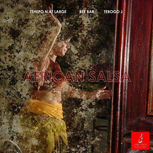 Amazon.com: African Salsa : Tshepo N At Large & Bee Bar Feat Tebogo J ...