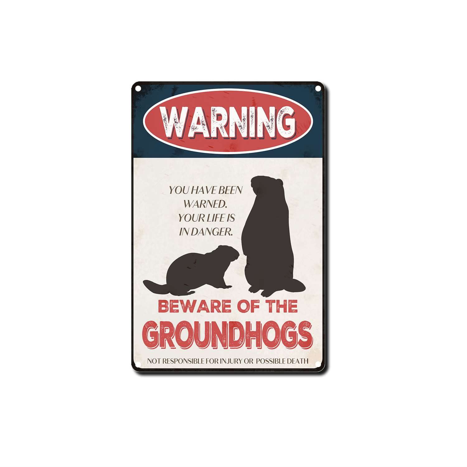 Amazon.com: Cpirust Vintage Tin Sign Decor Warning Beware of The ...