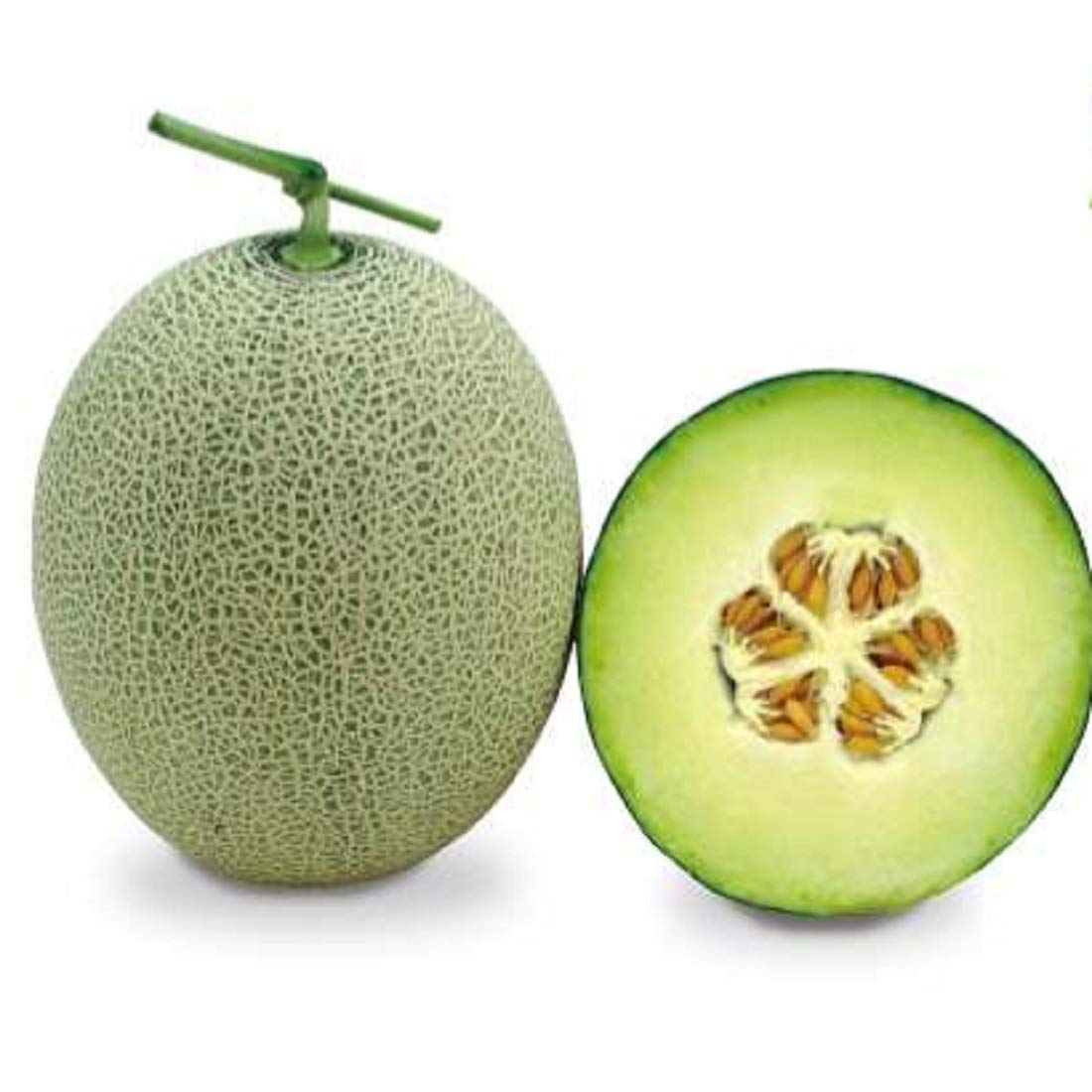 Creative Farmer Garden Green Muskmelon imported fruit seed : Amazon.in ...