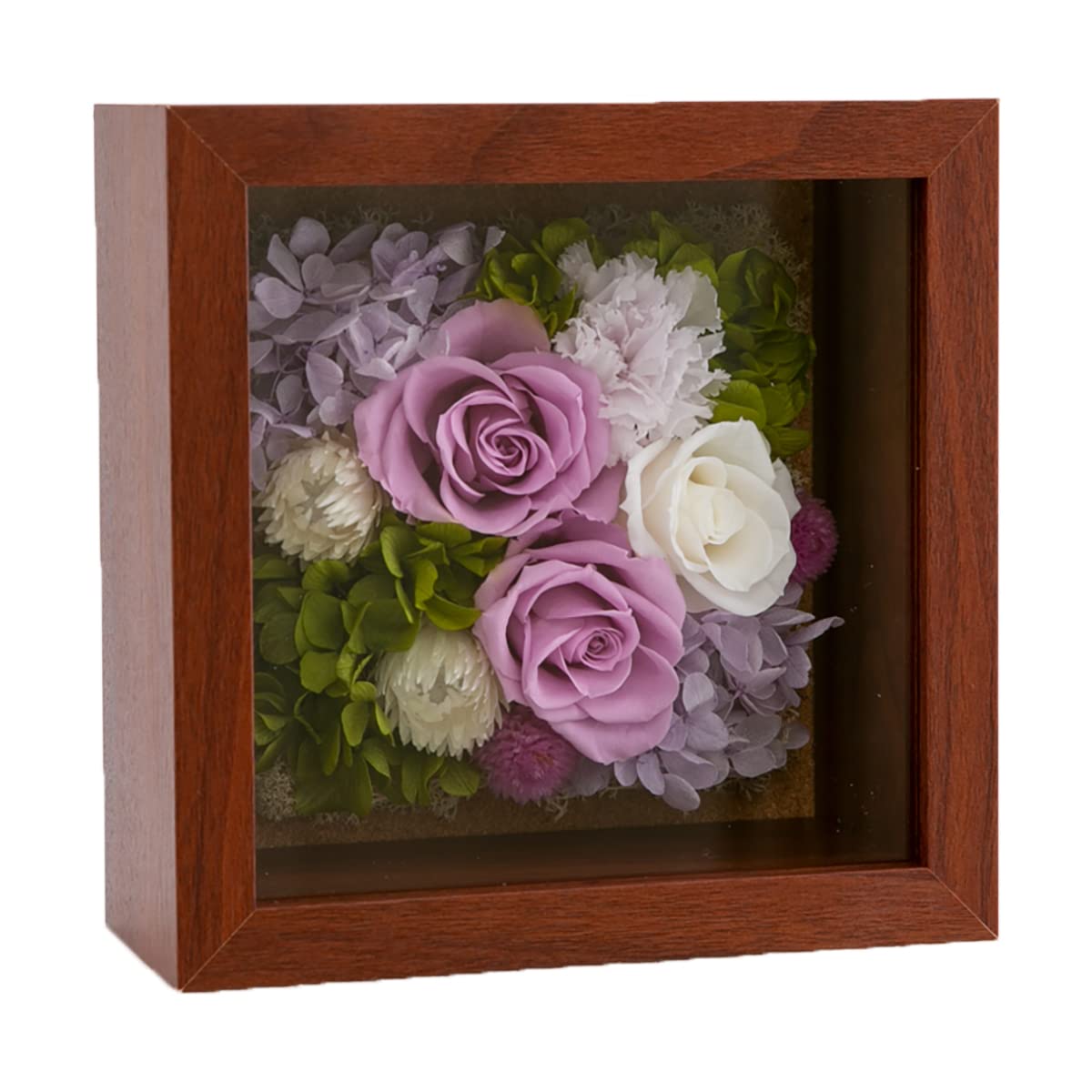 Amazon｜Ruplan プリザーブドフラワー 『fleur de mur フルール・ドゥ・ミュール』 (パープル)｜プリザーブドフラワー オンライン通販