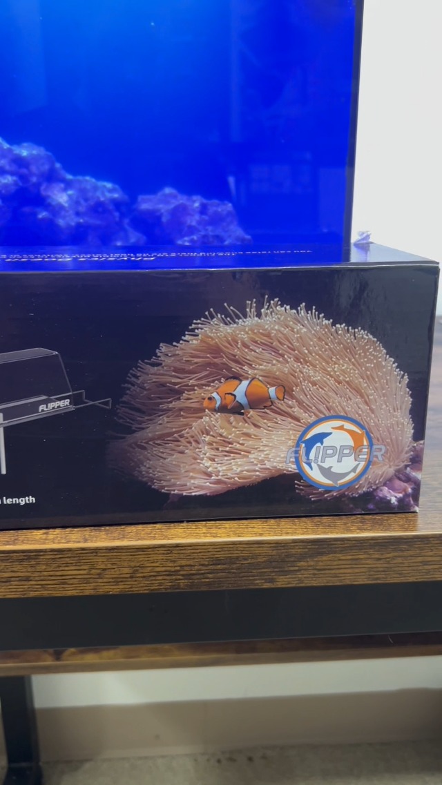 Watch Installing the New Flipper ATO ﹙Auto Top Off﹚ #fish on Amazon Live