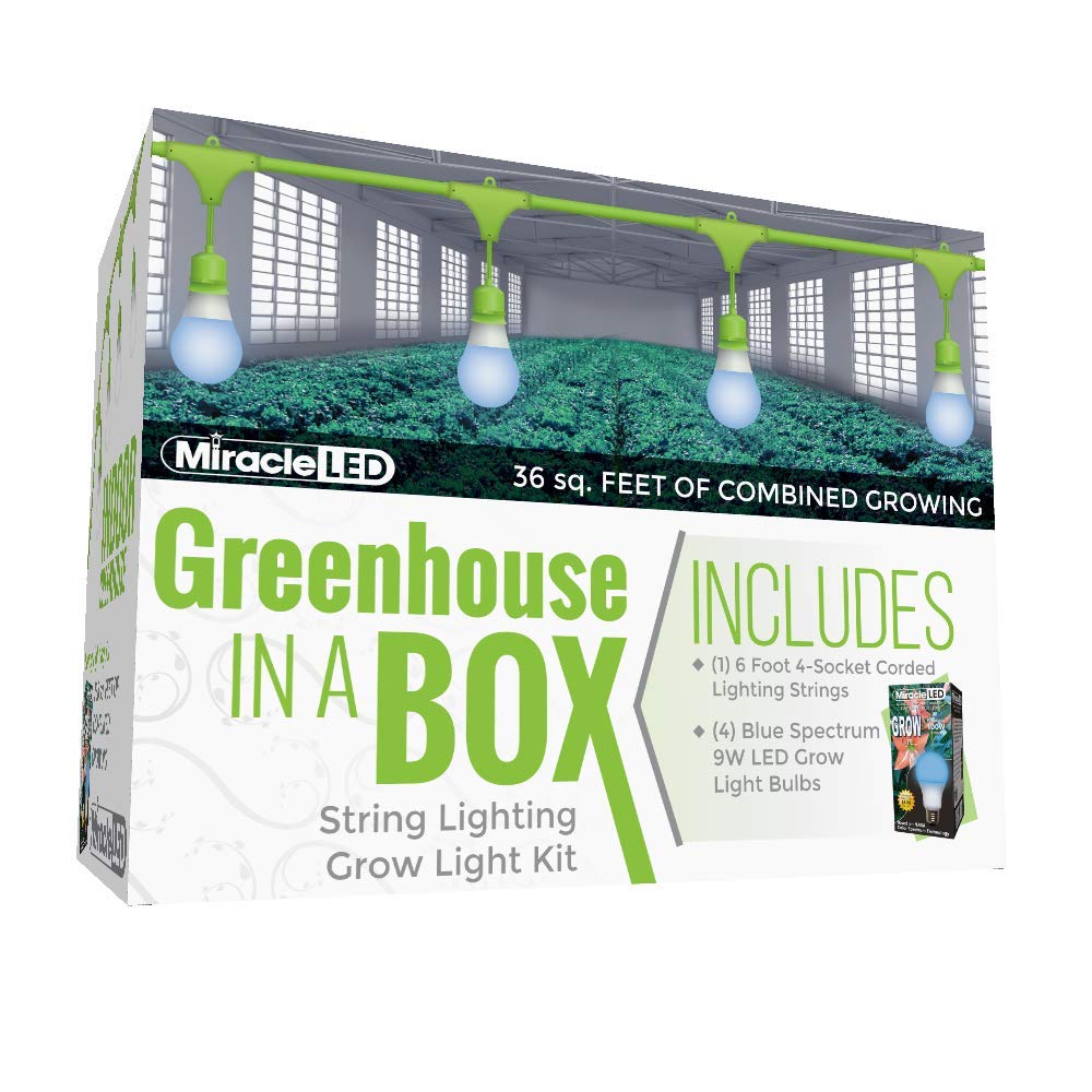 Amazon.com: Miracle LED Greenhouse in a Box Grow Kit for Indoor Plants ...