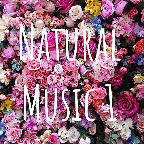 Natural Music 1 : muhammad hussain: Amazon.in: Books