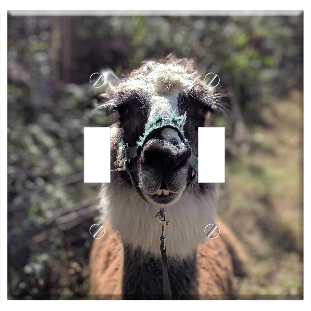 High Llama Meme