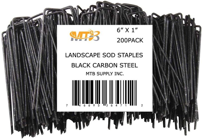 Amazon.com : 100 Pack 10x1 inch 11GA(0.12inch) Landscape Staples Garden ...