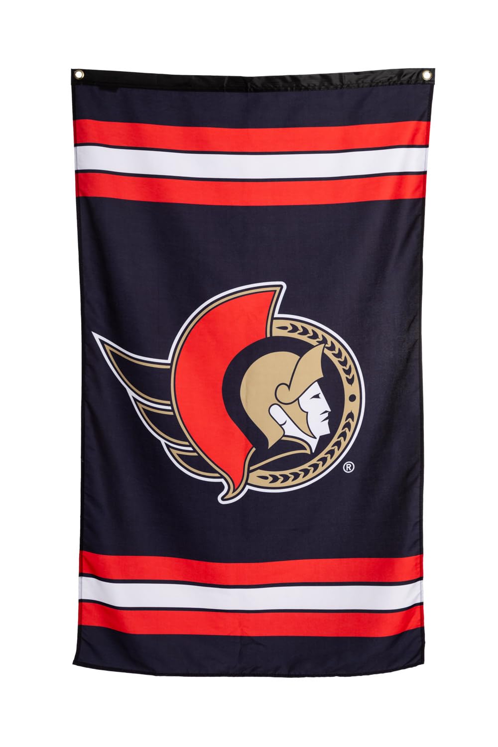 Snapklik.com : Calhoun NHL Officially Licensed Indoor Team Logo Wall ...
