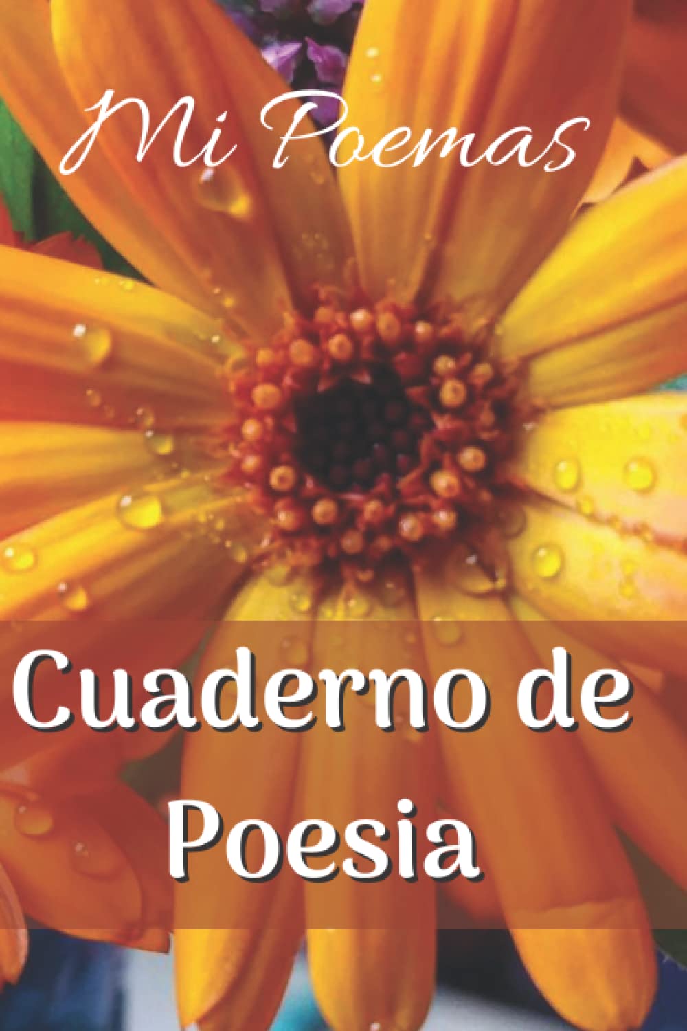 Buy Cuaderno de Poesia: CP-69-ES-005 Cuaderno de poemas para escribir ...