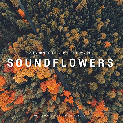 Play A Journey Through the World by Soundflowers on Amazon Music
