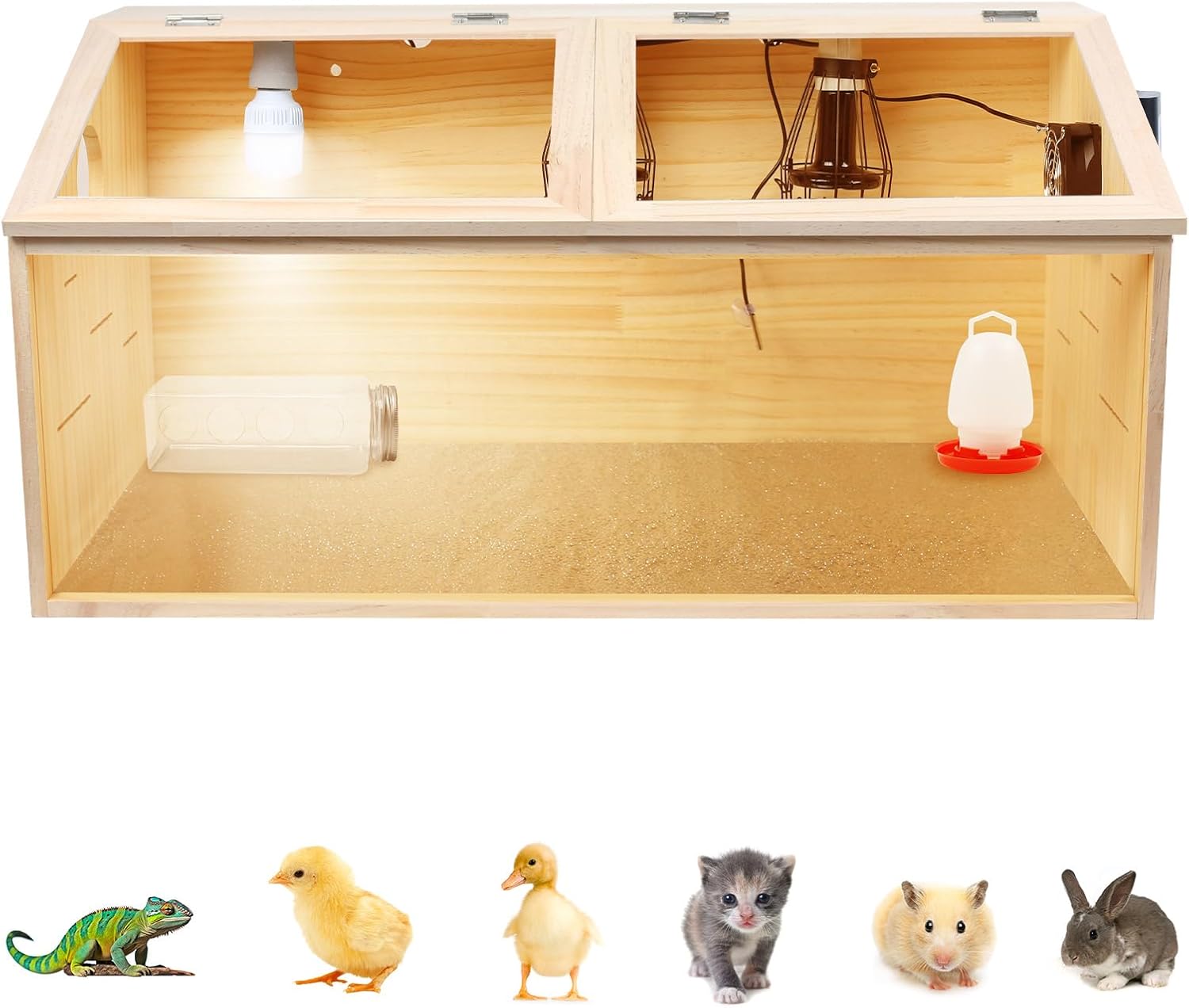 Amazon.com : Premium Brooder Box for Baby Chicks & Other Small Animals ...