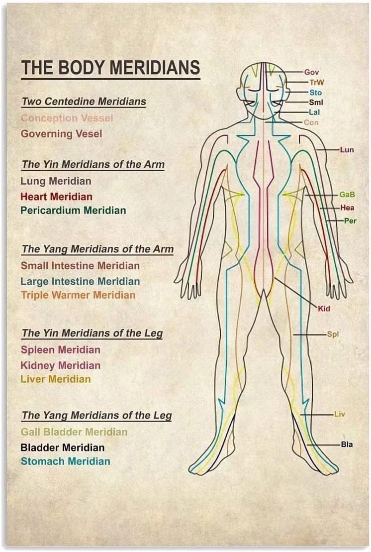 Starotore The Body Meridians Knowledge – Póster de aluminio con texto ...