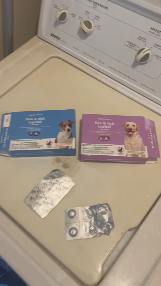 Watch Capstar vs Topical - best flea treatment combo on Amazon Live