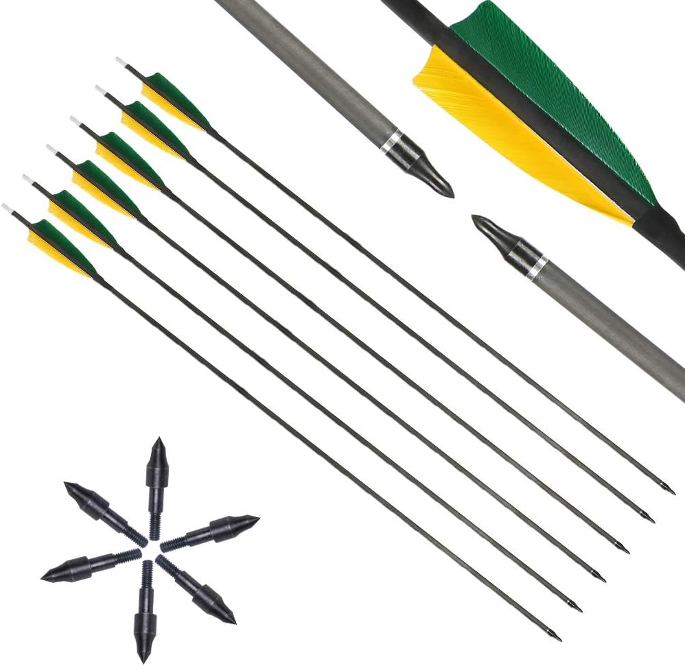 Archery Carbon Arrows 350 Spine 32 Inch Arrow with Replacement 100 ...
