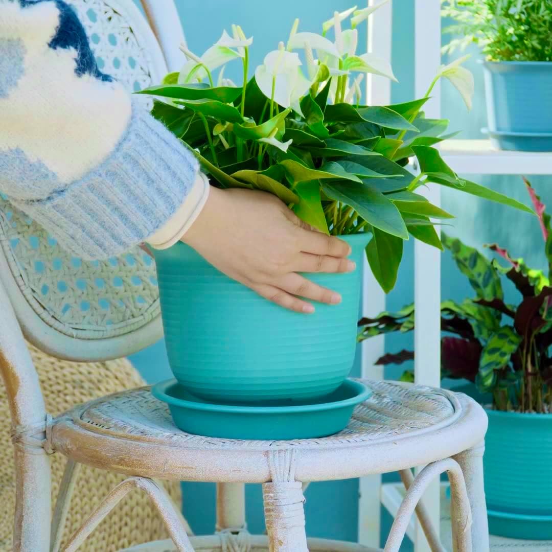 Etvski Paquete de 6 macetas para plantas de interior, macetas con ...