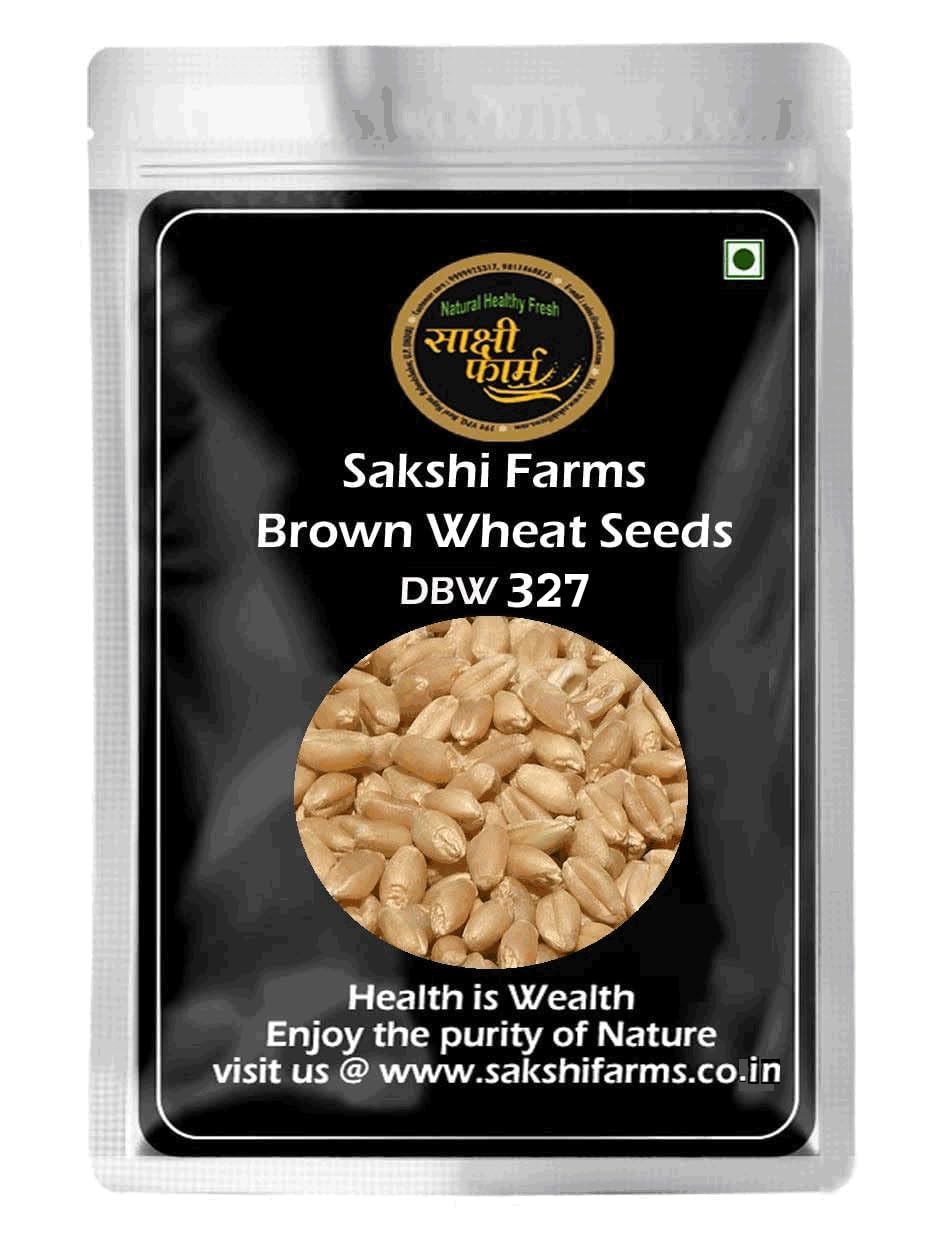 Sakshi Farms Brown Wheat Seeds DBW 327 (Karan Shivani) for Sowing, Farming & Agriculture (Kheti ...