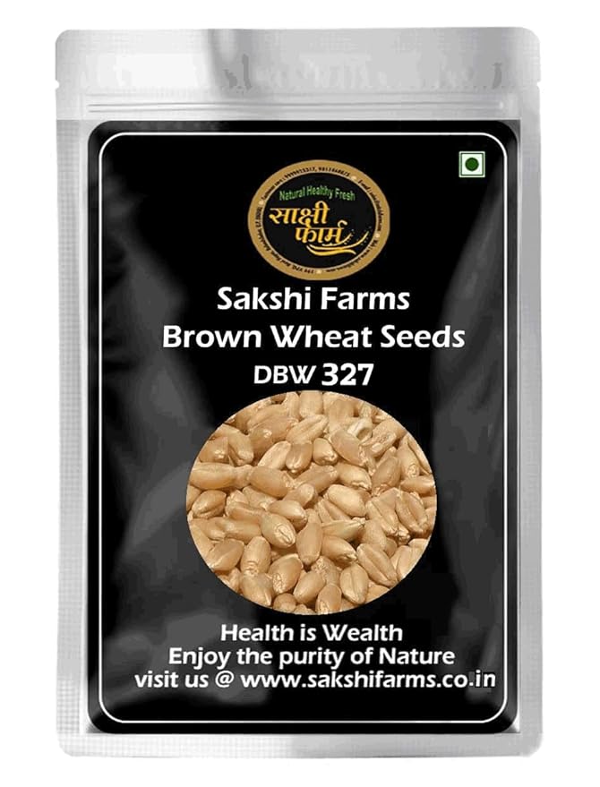 Sakshi Farms Brown Wheat Seeds DBW 327 (Karan Shivani) for Sowing, Farming & Agriculture (Kheti ...