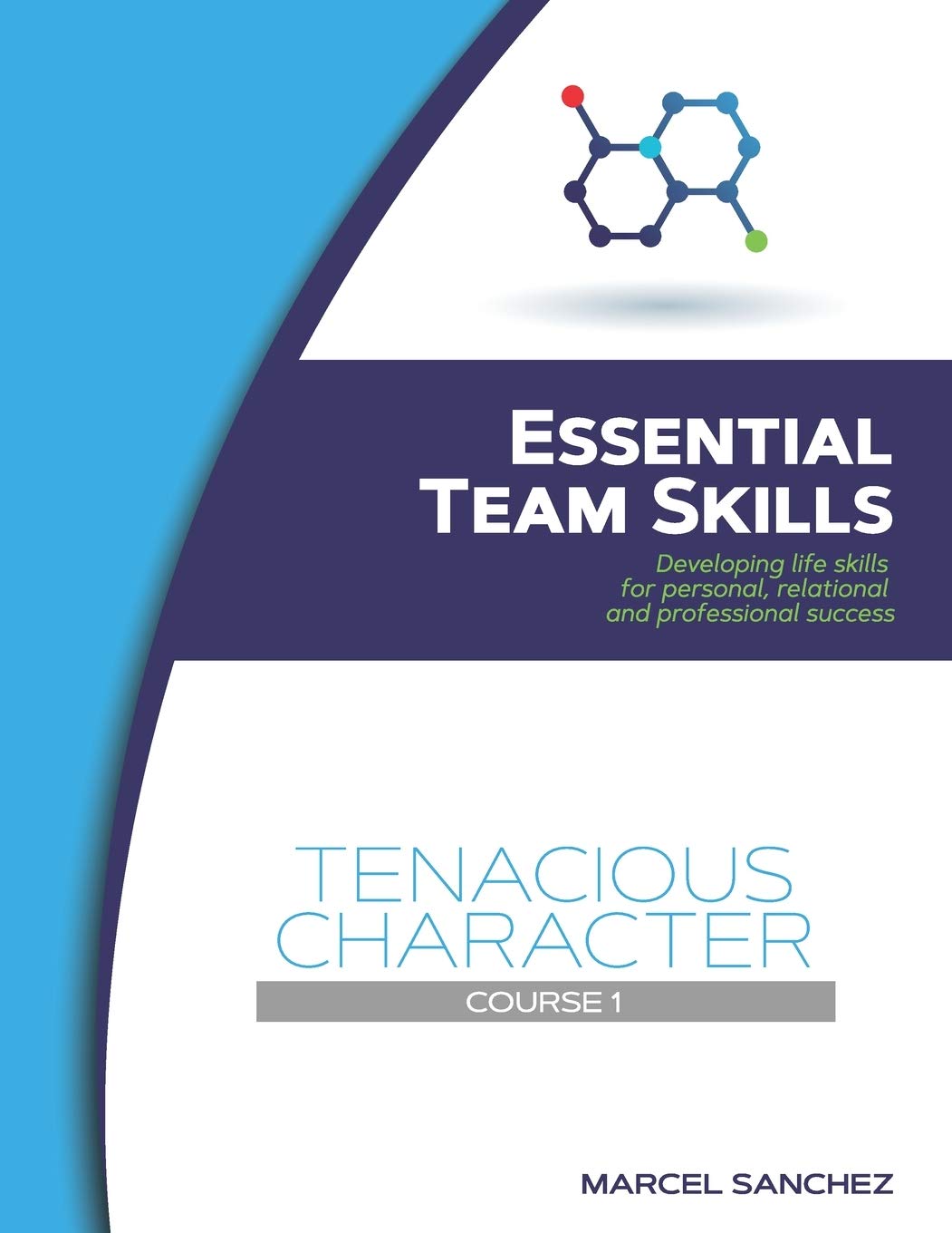 Tenacious Character: Developing life skills for personal, relational ...