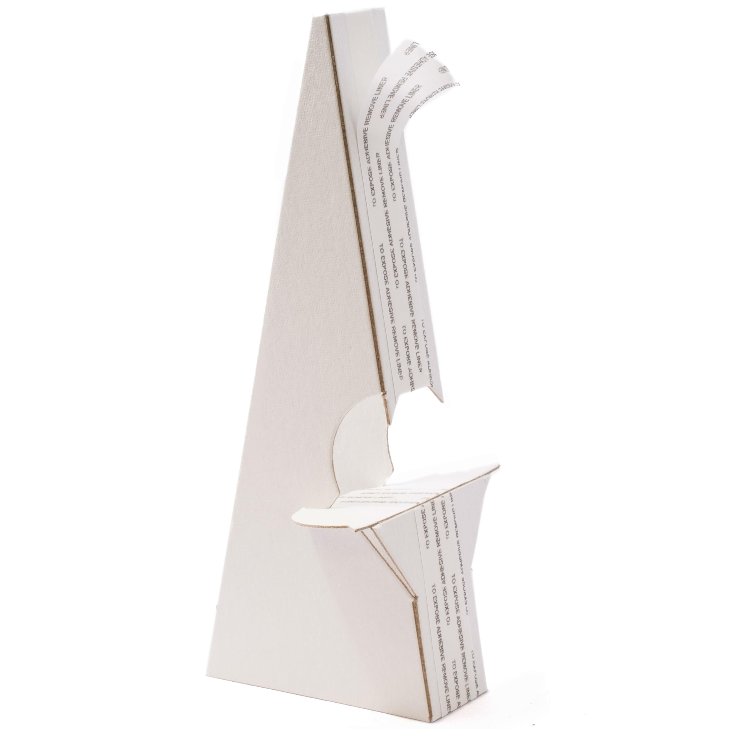 Amazon.com: Golden State Art, Cardboard Easel Back, Self Stick Easel ...