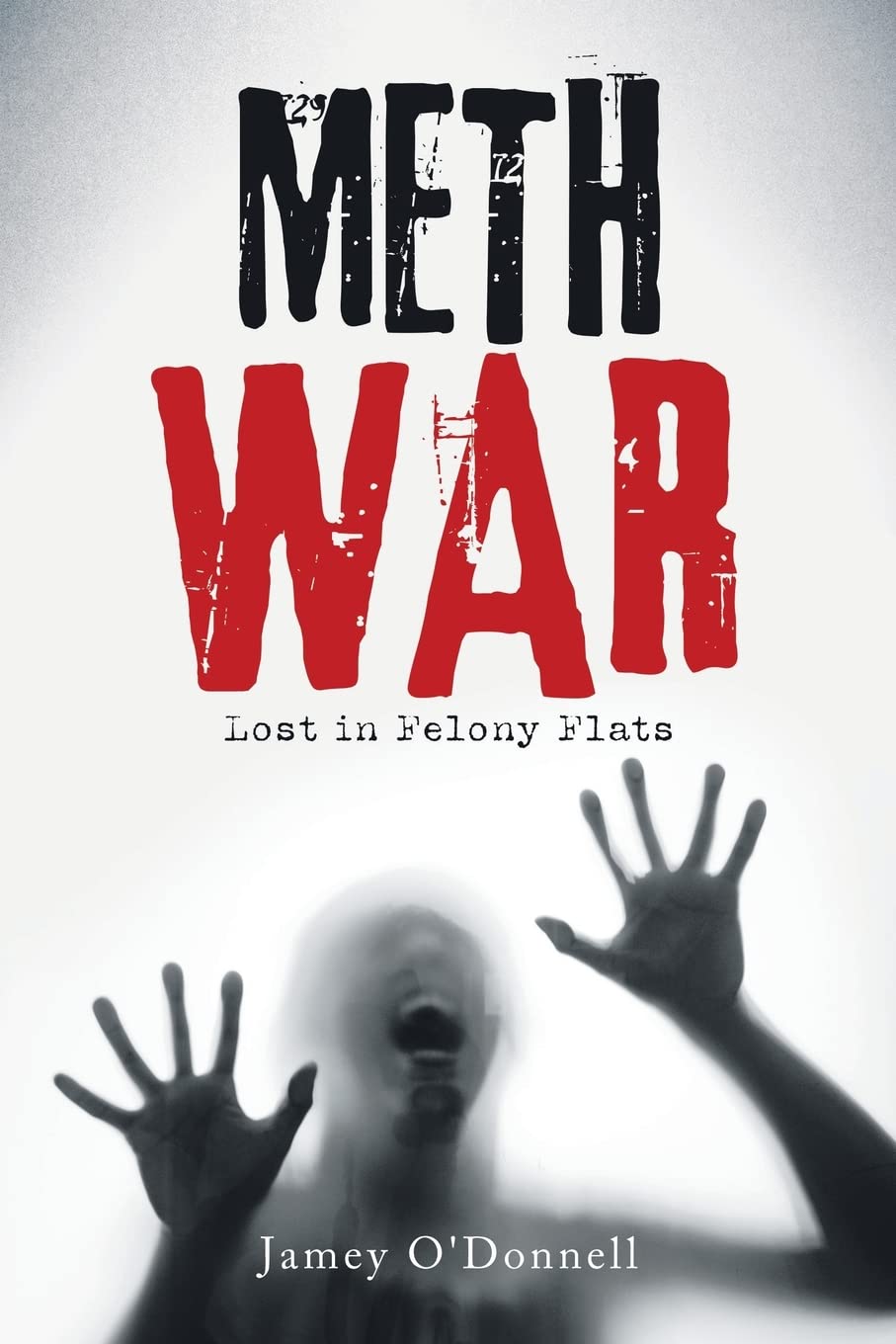 Meth War: Lost in Felony Flats: O'Donnell, Jamey: 9781665540698: Amazon ...
