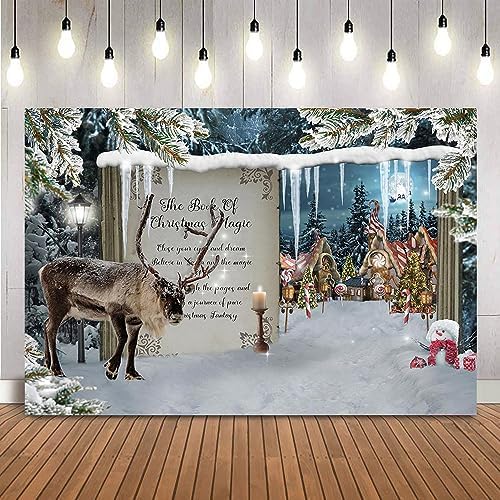 Amazon.com : The Book of Christmas Magic Backdrop for Photography North ...