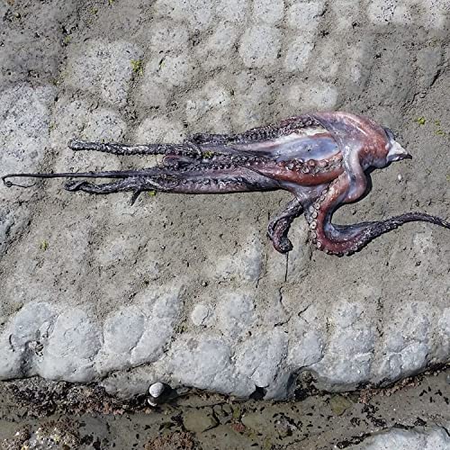 Play spspspsp by Bribri on Amazon Music