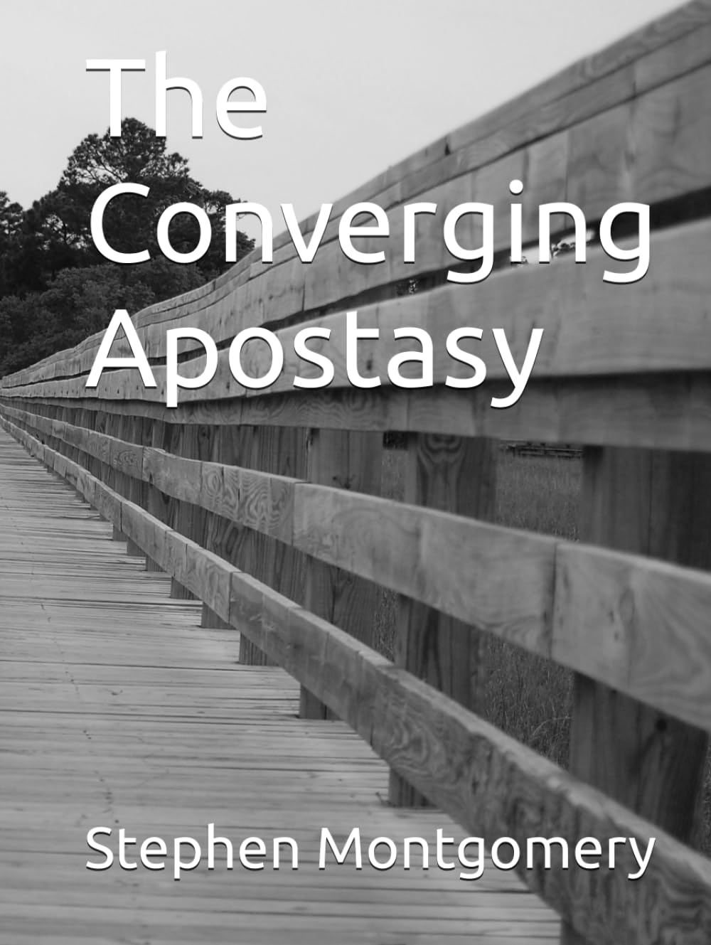 The Converging Apostasy: Montgomery, Mr. Stephen: 9798884780156: Amazon ...