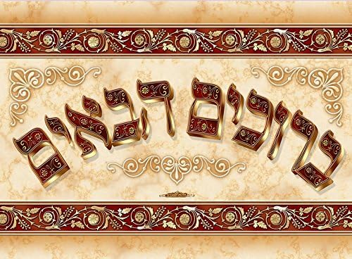 Amazon.com: Bruchim Habaim Laminated Sukkah Poster : Home & Kitchen