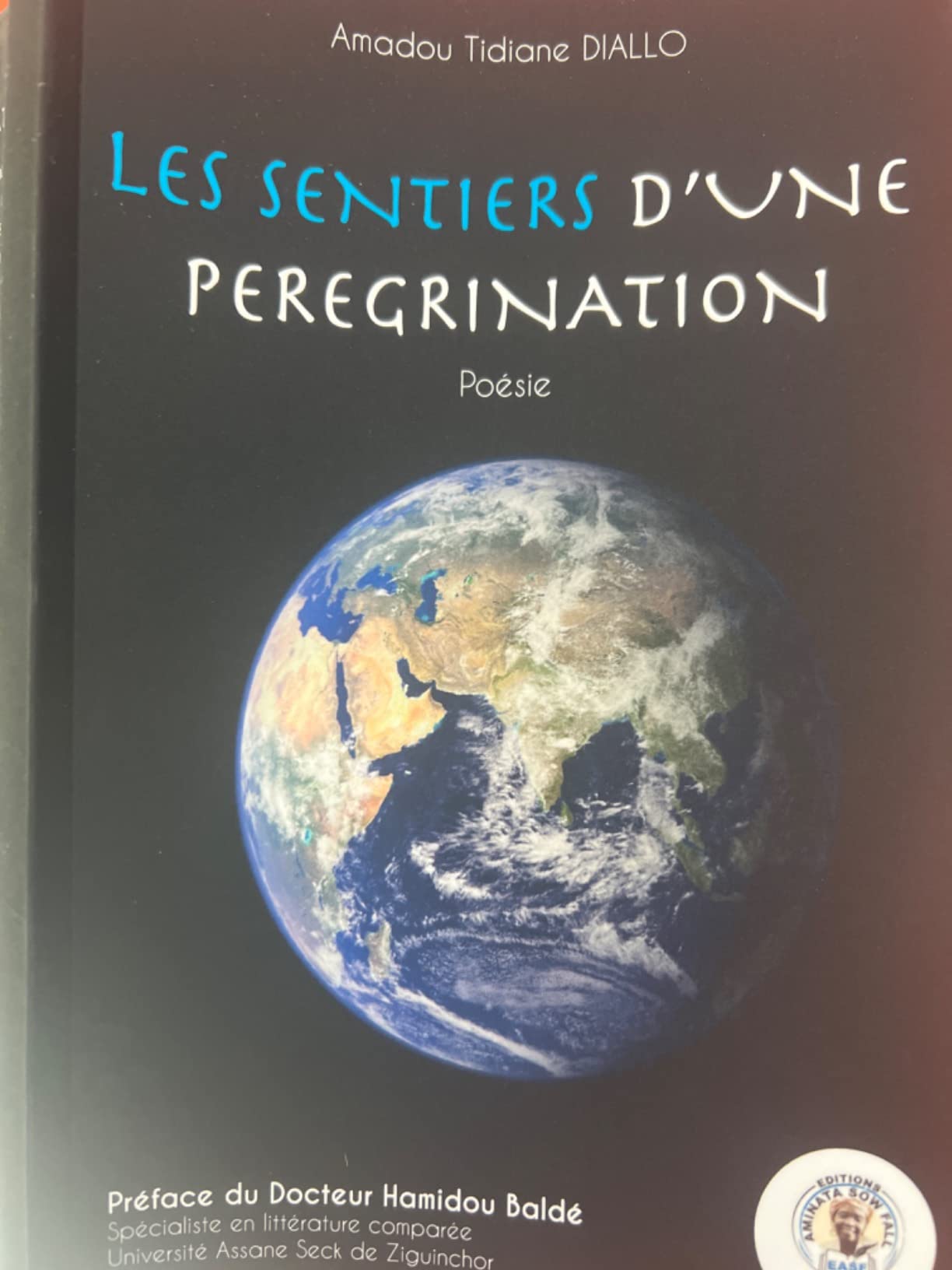 Amazon.fr - LES SENTIERS D’UNE PEREGRINATION - DIALLO, AMADOU TIDIANE ...