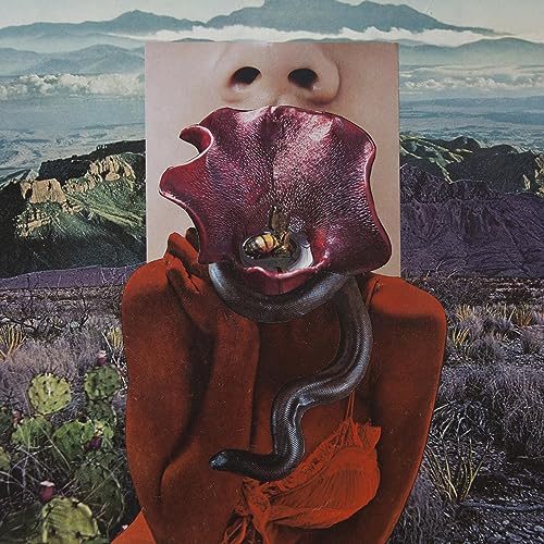 Play Persephone by Colleen Rennison on Amazon Music