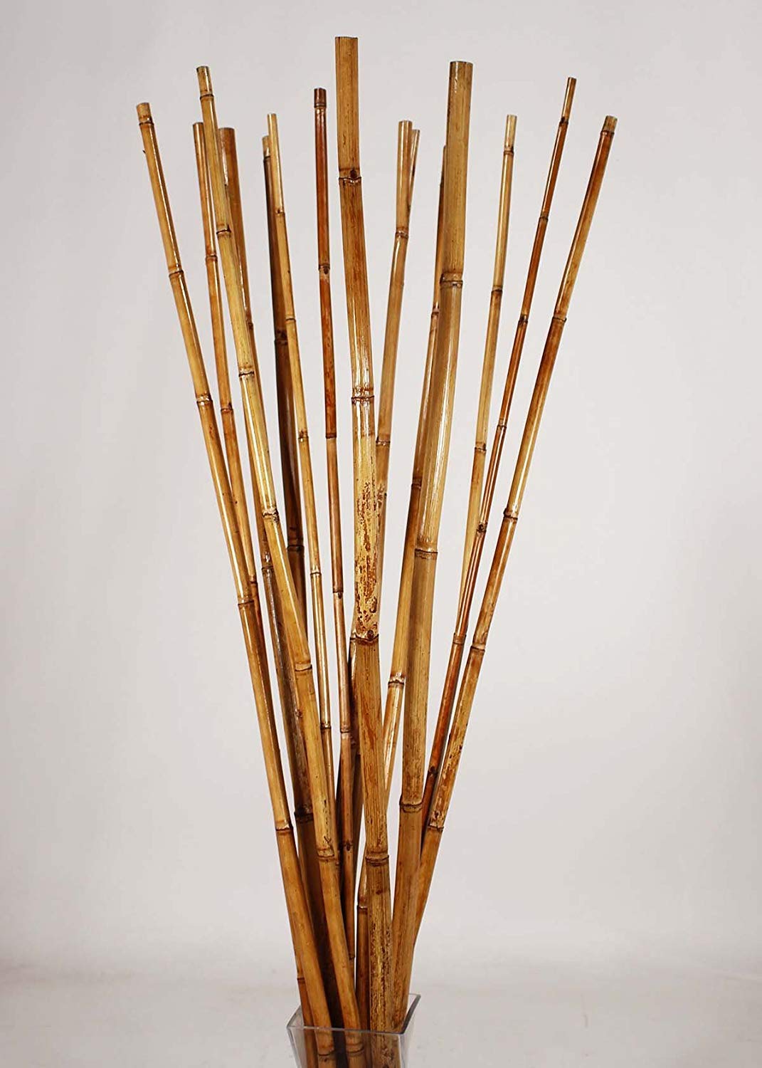 Amazon.com: Green Floral Crafts | Natural River Cane | Pack of 25 (3.5 ...